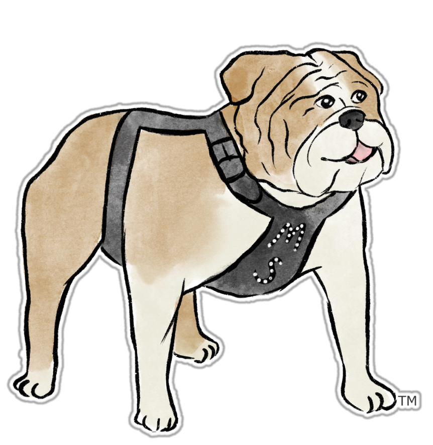 MSU Decals & Magnets – Maroon & Co